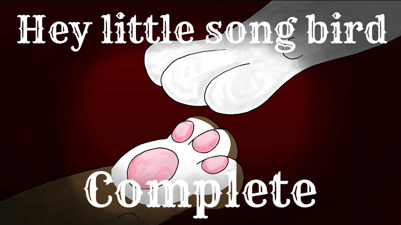 Hey little songbird map complete [ warrior cats / Ivypool and Hawkfrost ...