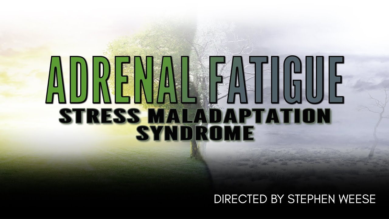 Adrenal Fatigue: Stress Maladaptation Syndrome - Documentary - YouTube