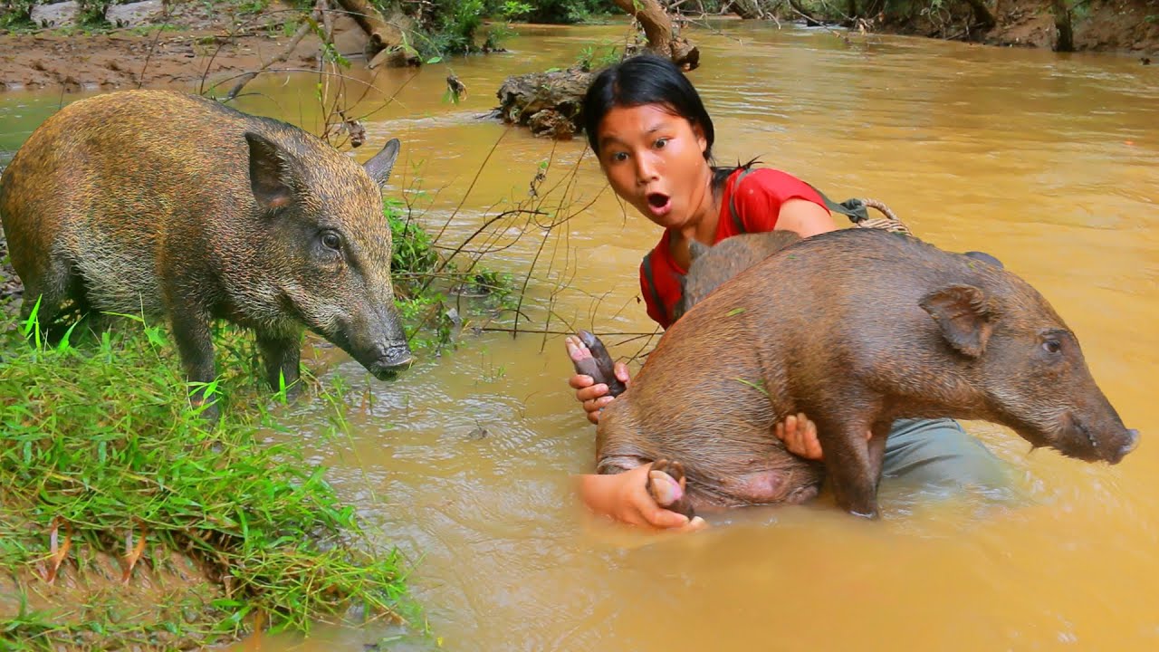survival in the rainforest - Catch Wild boar and egg at river - Fried ...