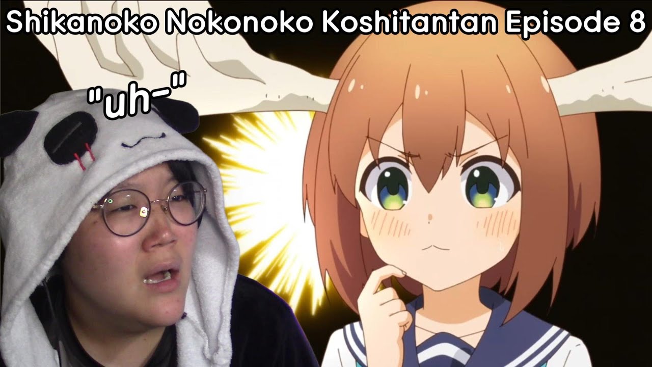 Newbie Jun Reacts | My Deer Friend Nokotan (Episode 8) - YouTube
