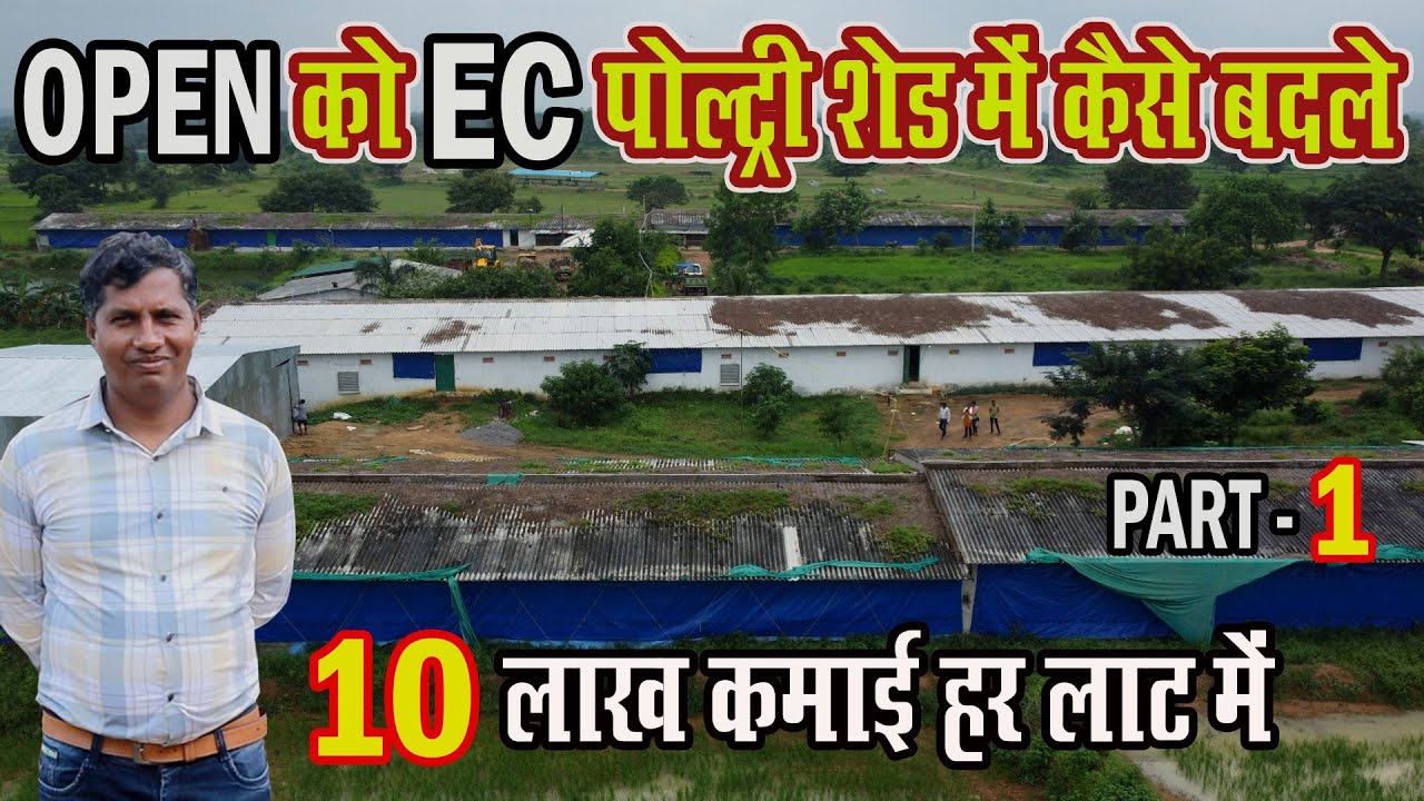 Open Poultry Farm को Ec Poultry Farm में कैसे बदलें?Part-1। "Open ...
