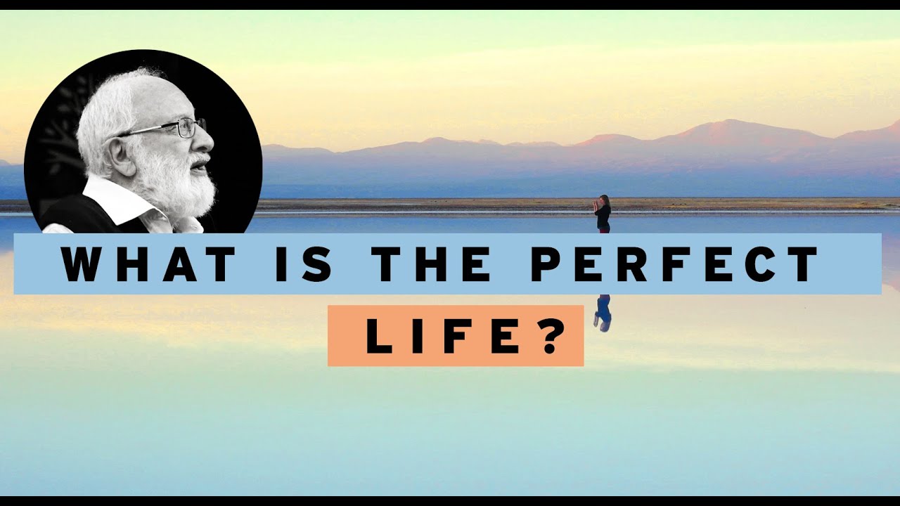 What Is the Perfect Life? - YouTube