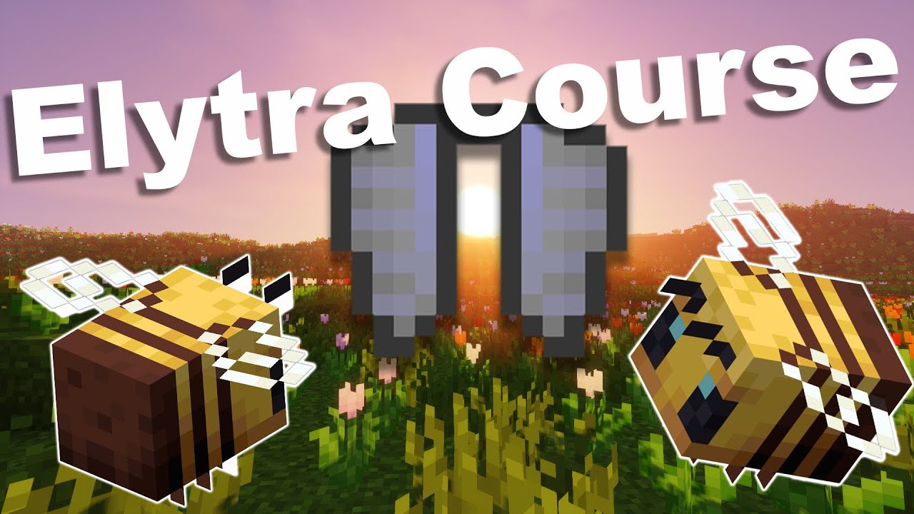Minecraft Bee elytra course! | By My Self - YouTube