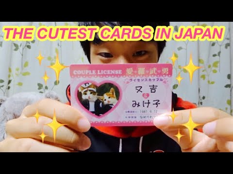 THE CUTEST JAPANESE CARDS IN JAPAN! SUPER CUTE CATS! なめねこカード(NameNeko ...
