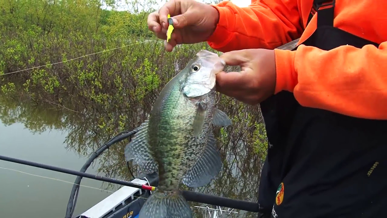 REND LAKE CRAPPIE IN BUSHES- Full length eps. - YouTube