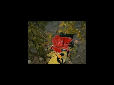 Sertab Erener - Farzet (Deep Mix) - Hikayeleri ile Ben Yaşarım