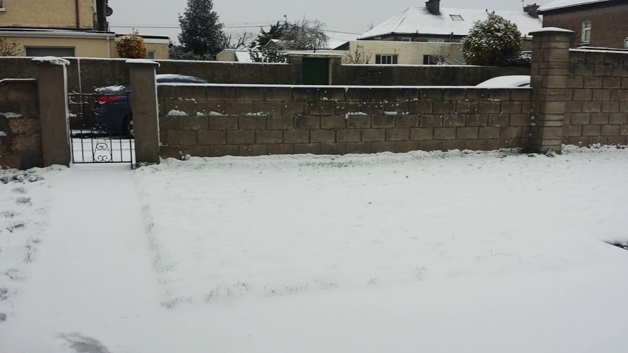Early Morning snow in Limerick! - YouTube