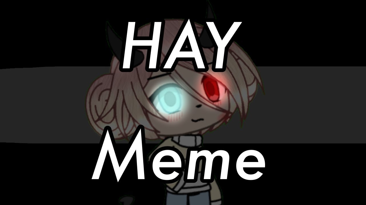 HAY Meme :3 - YouTube