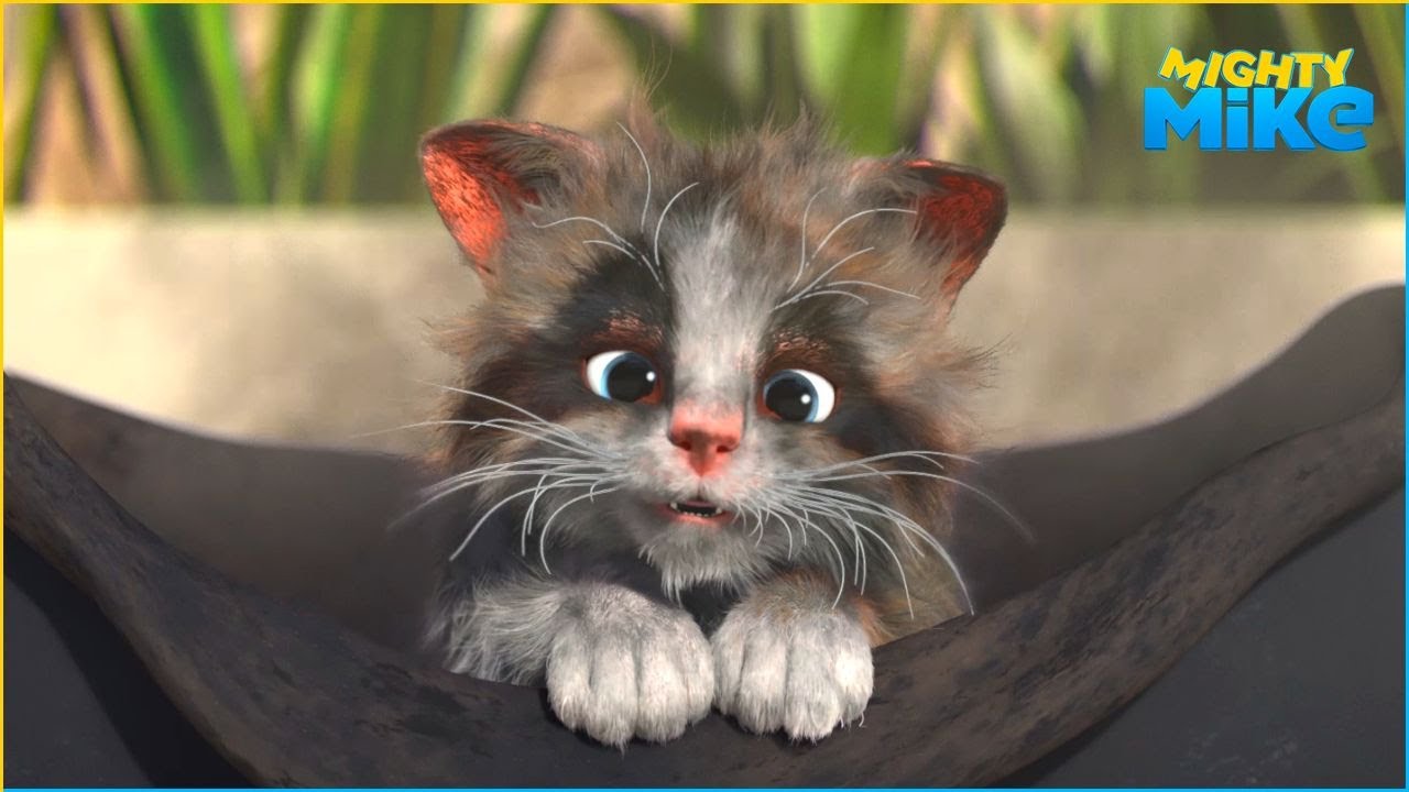Feline A Little Racoon | Mighty Mike | 60' Compilation | Cartoon for ...