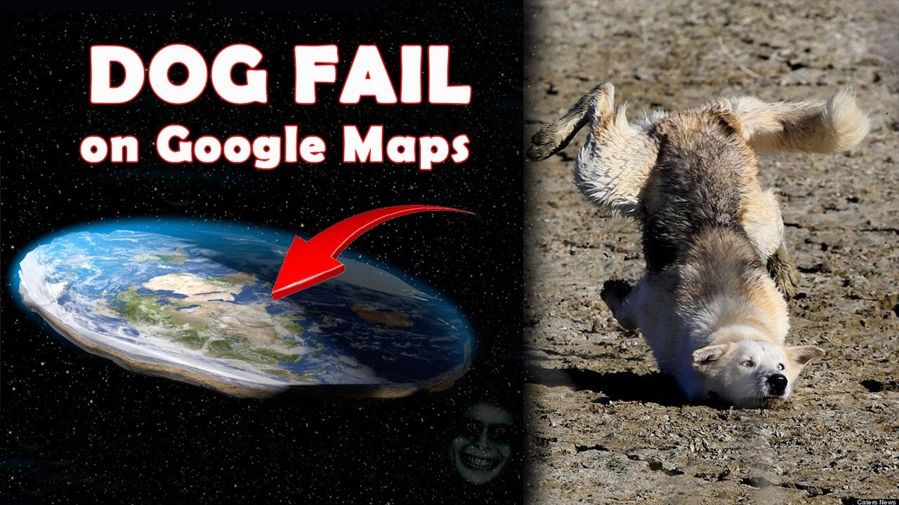 Laugh-Out-Loud Funny Dog Moment on Google Maps! - YouTube