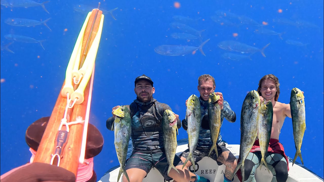 An ocean inspired lifestyle (BLUEWATER DIVING/WAKEBOARDING) - YouTube