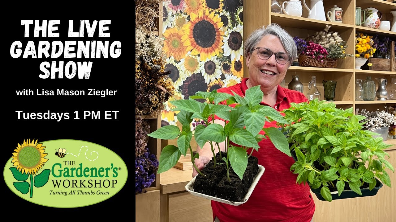 Live Gardening Show with Lisa! - YouTube