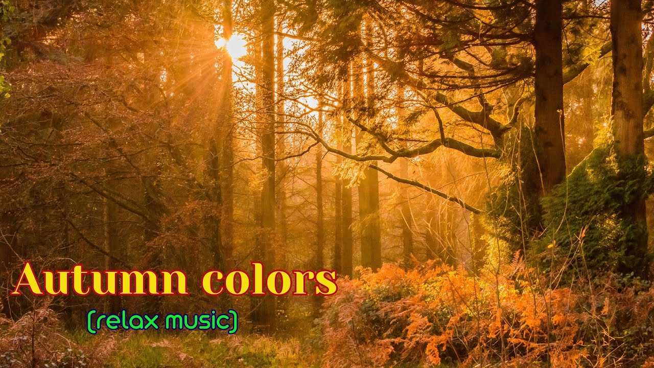 Autumn colors (relax & calm music) - YouTube