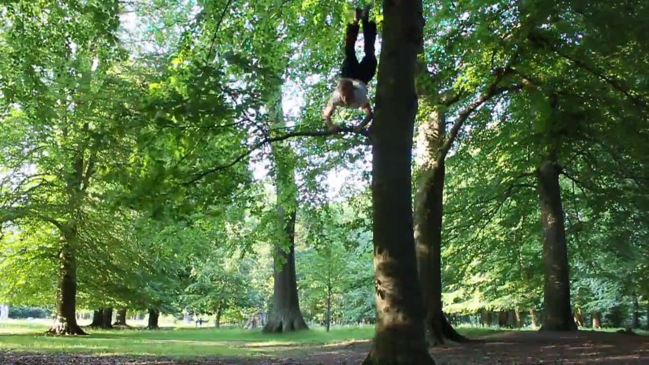 Swing Double Backflip In Tree - July 2013 - YouTube