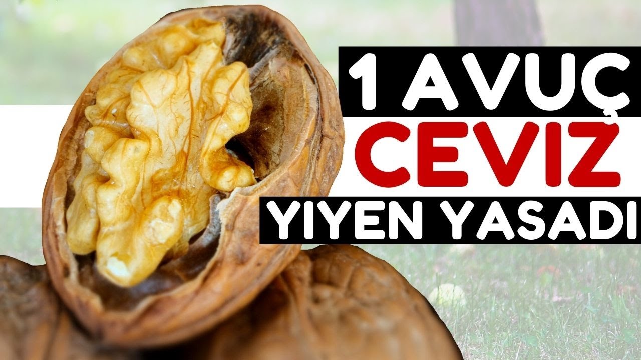 1 Avuç Ceviz Vücudunuza Bunları Yapıyor | Cevizin Faydaları Ve ...