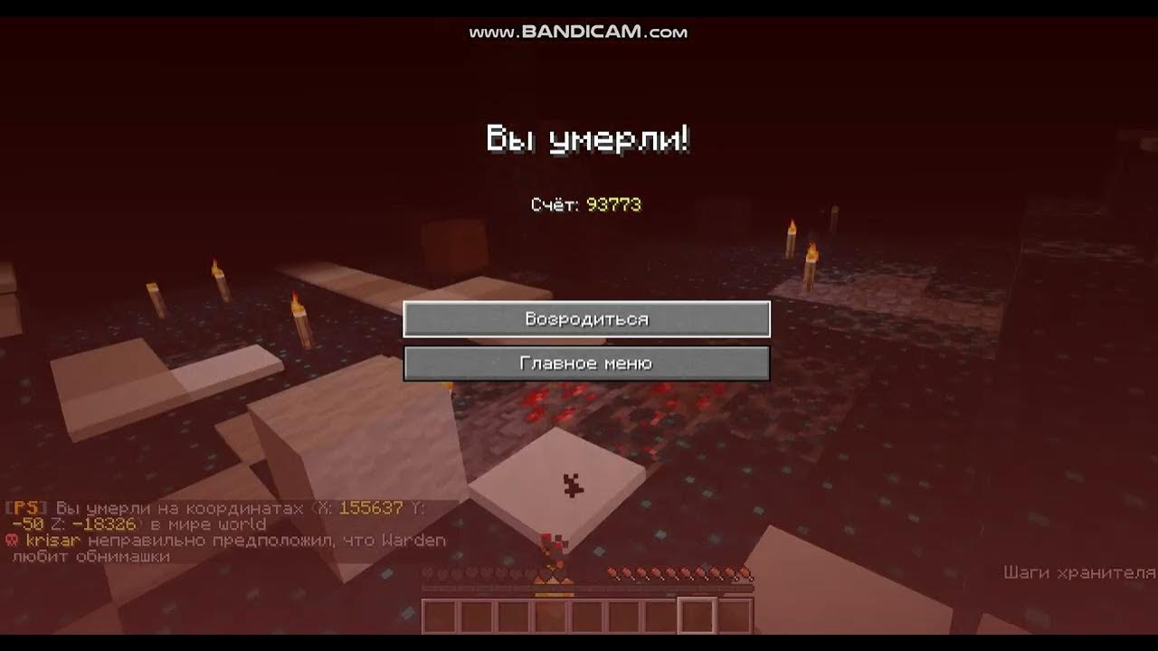 Играем с сокланами. Данж Вардена. Игра в салочки) - YouTube