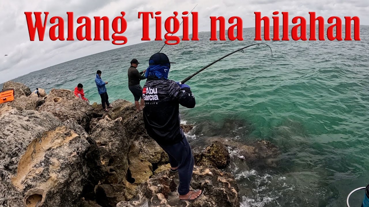 Di akalaing ganito karami ang mga Tanige o mackerel sa batuhang ito ...