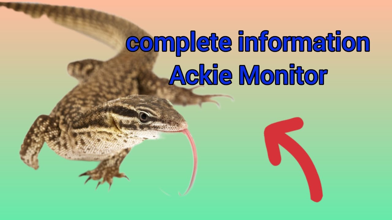 Complete information Ackie Monitors - YouTube
