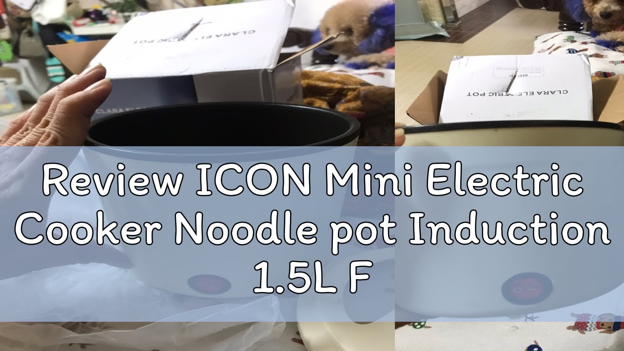 Review ICON Mini Electric Cooker Noodle pot Induction 1.5L Free Steamer ...