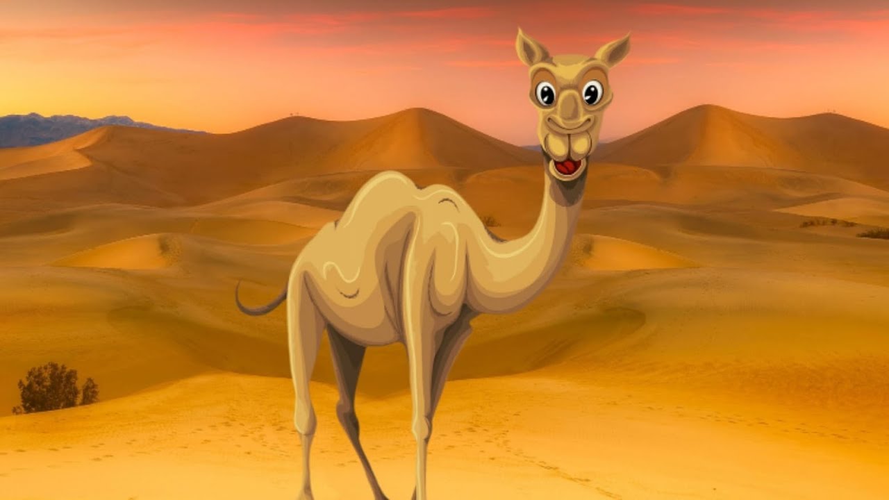 Da Esopo - Il cammello visto per la prima volta - YouTube