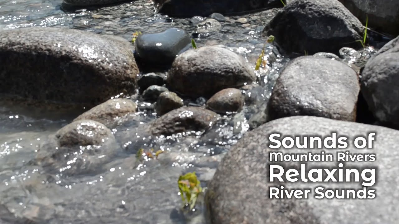 SOUNDS OF MOUNTAIN RIVERS, RELAXING RIVER SOUNDS | Flowing Water, White ...