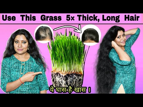 This Grass Is Most Powerful For Hair:Stop HairLoss,Regrow Hair,Thick,Long Hairघास बनाये बालों को खास