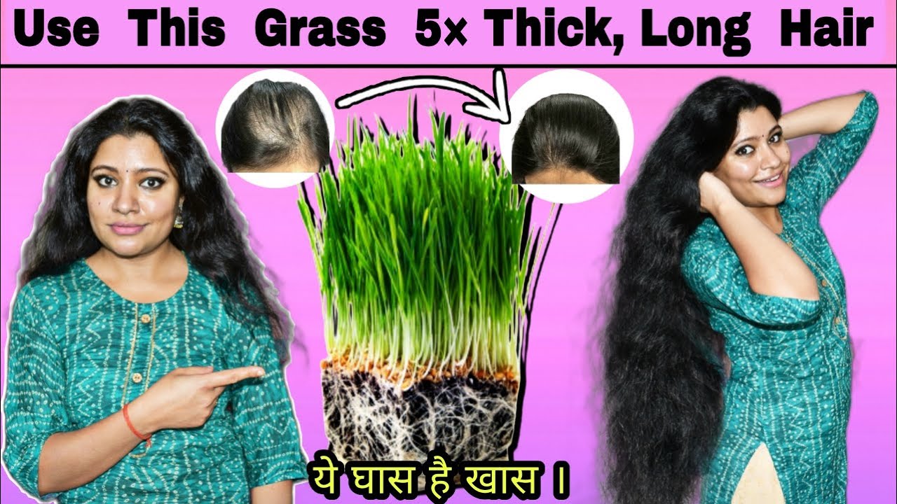This Grass Is Most Powerful For Hair:Stop HairLoss,Regrow Hair,Thick ...