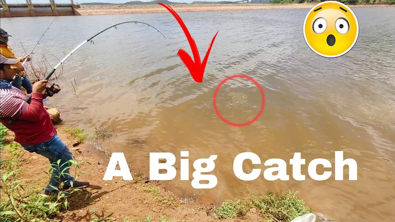 Nice Catch Big fish drag sound | Fishing videos | Rohu fish big size ...