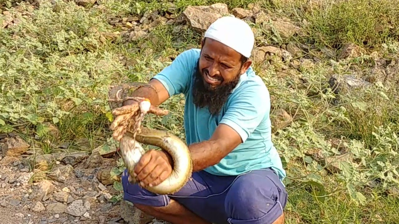 Fish Hunting||Incredible Big Eel Fishing||Thambu fish catching||Awesome ...