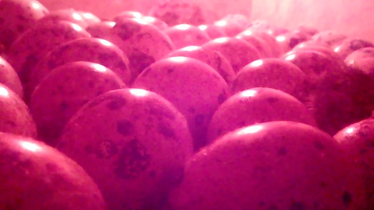 23 февруари 2020 - YouTube