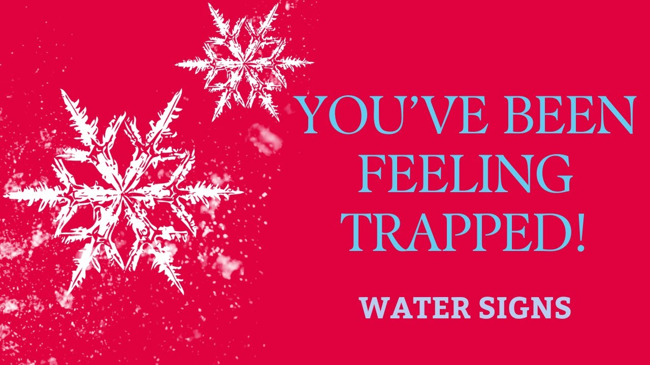 THE ROAD AHEAD IS WIDE OPEN, WATER SIGNS! WEEKLY READING 12/29 - 1/4 ...