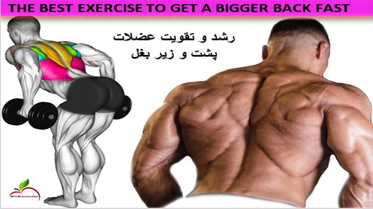 6 Best Exercise To Back Workout(Back Exercise) - YouTube
