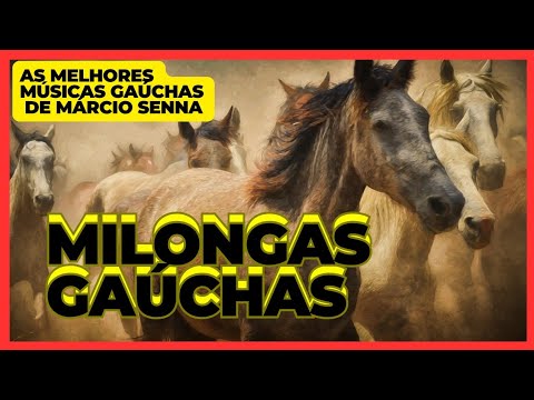 🎶 As Melhores Músicas Gaúchas - Milongas Gaúchas | Márcio Senna 🎶 - YouTube