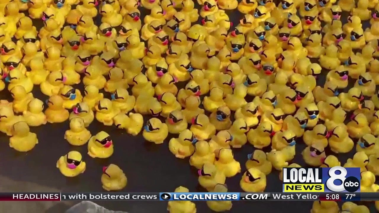31st annual Great Snake River Greenbelt Duck Race kicks off - YouTube