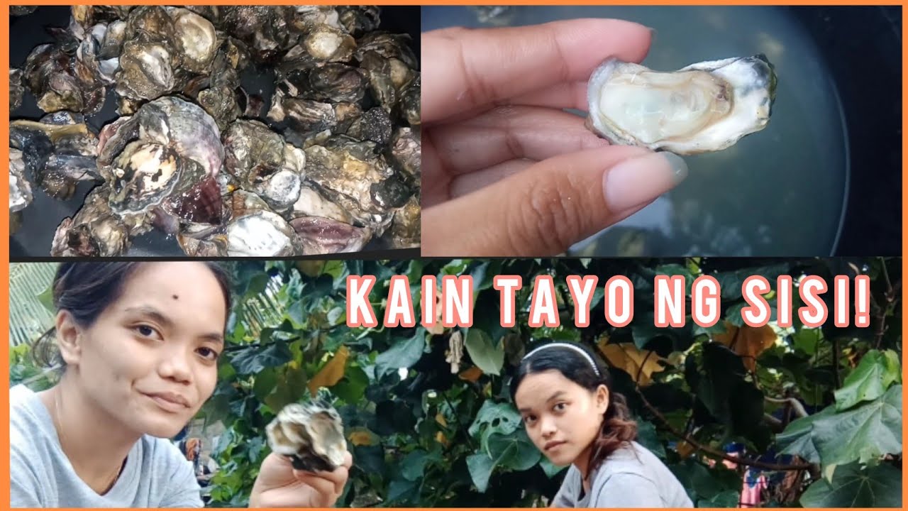 GANITO DITO SA PROBINSYA! ANG SARAP NG TALABA/SISI! KAIN TAYO! - YouTube