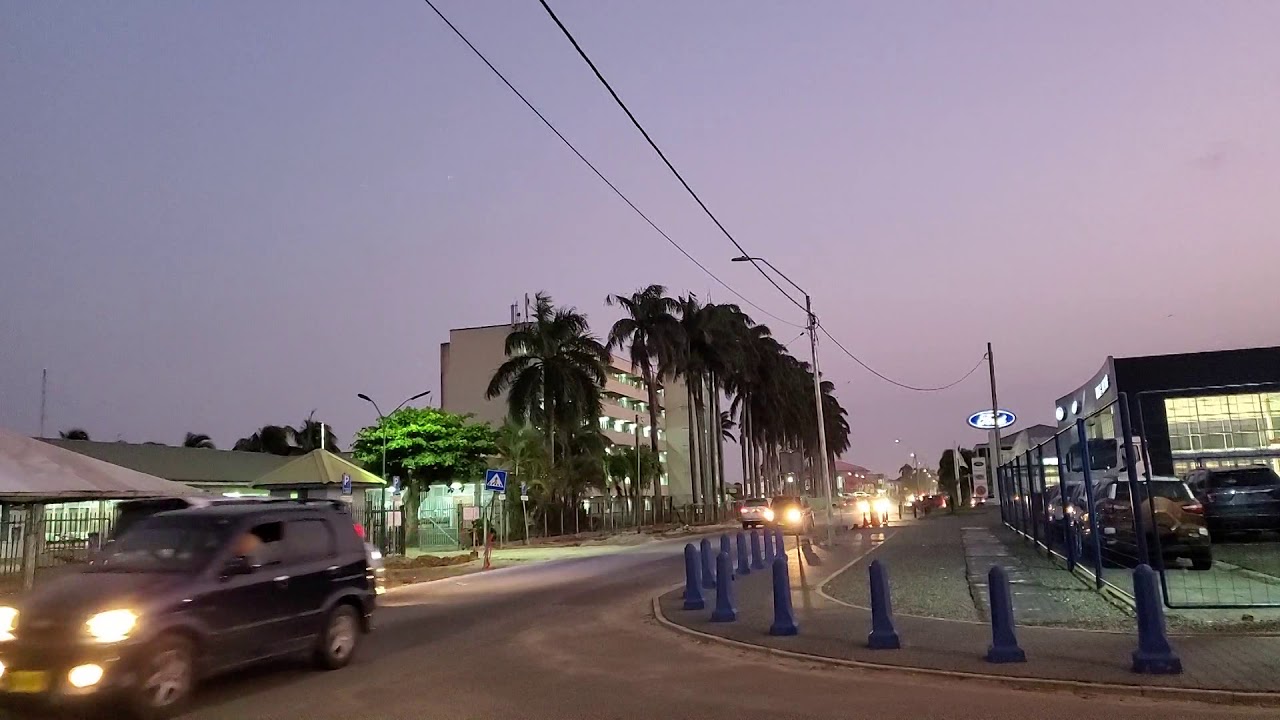 Paramaribo Suriname Parrot Roost Site - YouTube