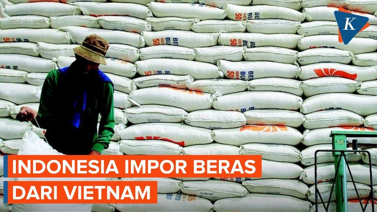 Stok Menipis, Perum Bulog Impor Beras asal Vietnam - YouTube