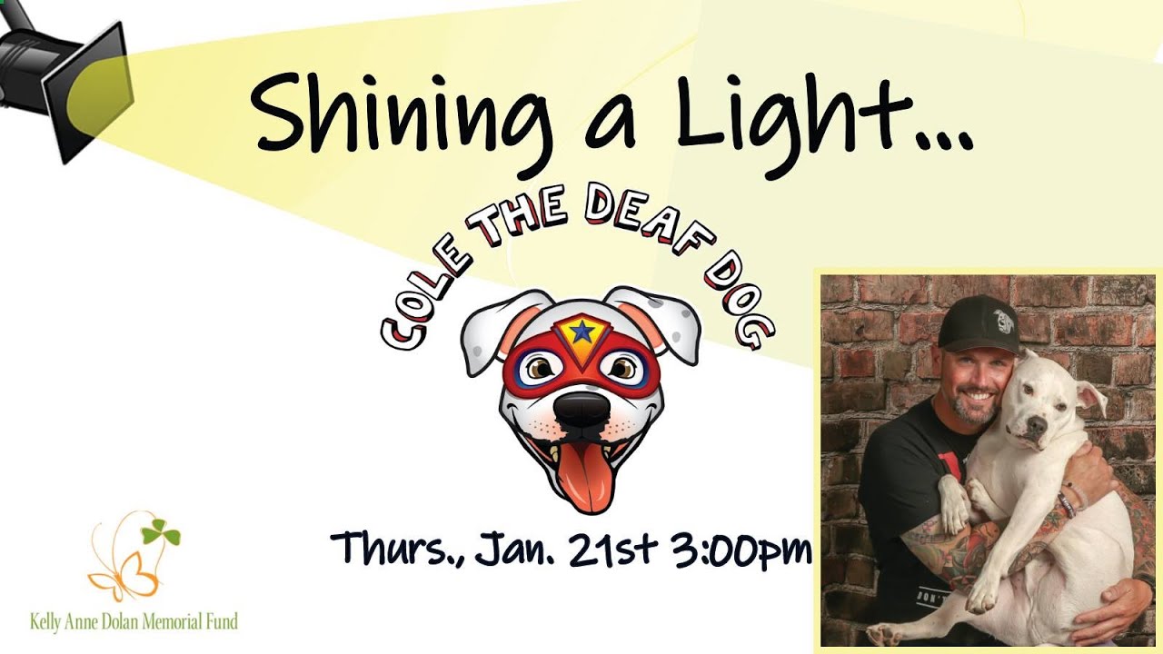 ADORABLE! Meet Cole the Deaf Dog and the Team Cole Project - YouTube