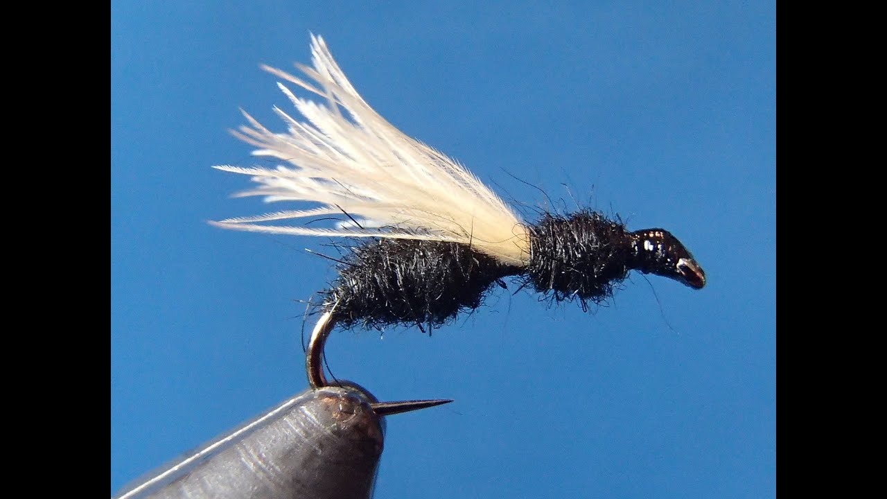 CDC Ant - YouTube