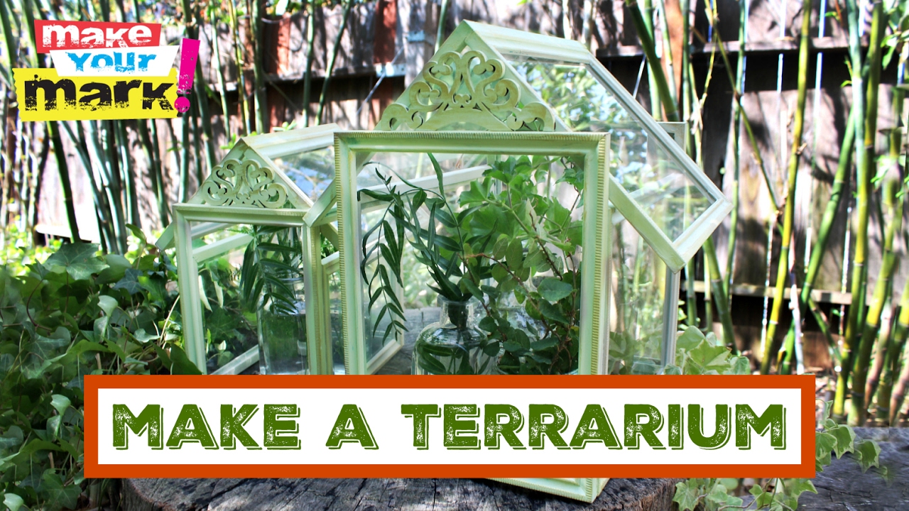 How to: Dollar Store Glass Terrarium - YouTube