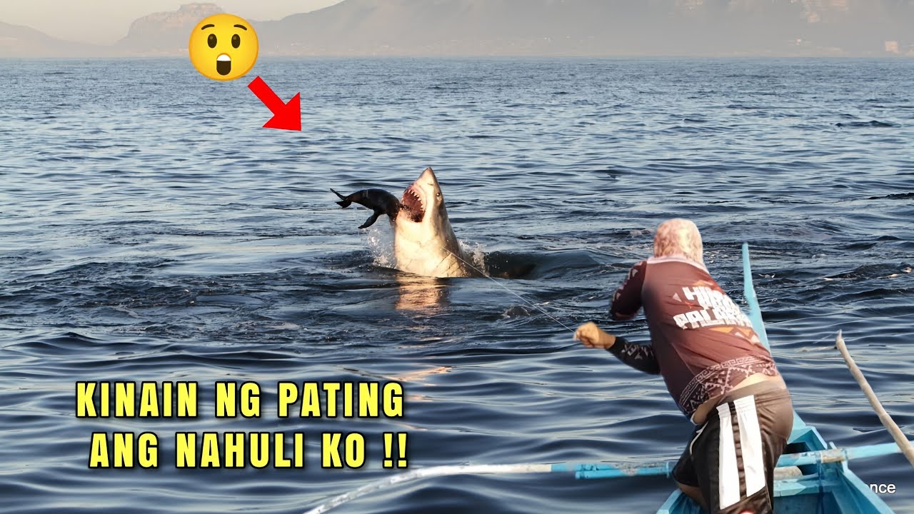 HINDI INAASAHAN KINAIN NG PATING ANG NAHULI KO | SHARK ATTACK - YouTube