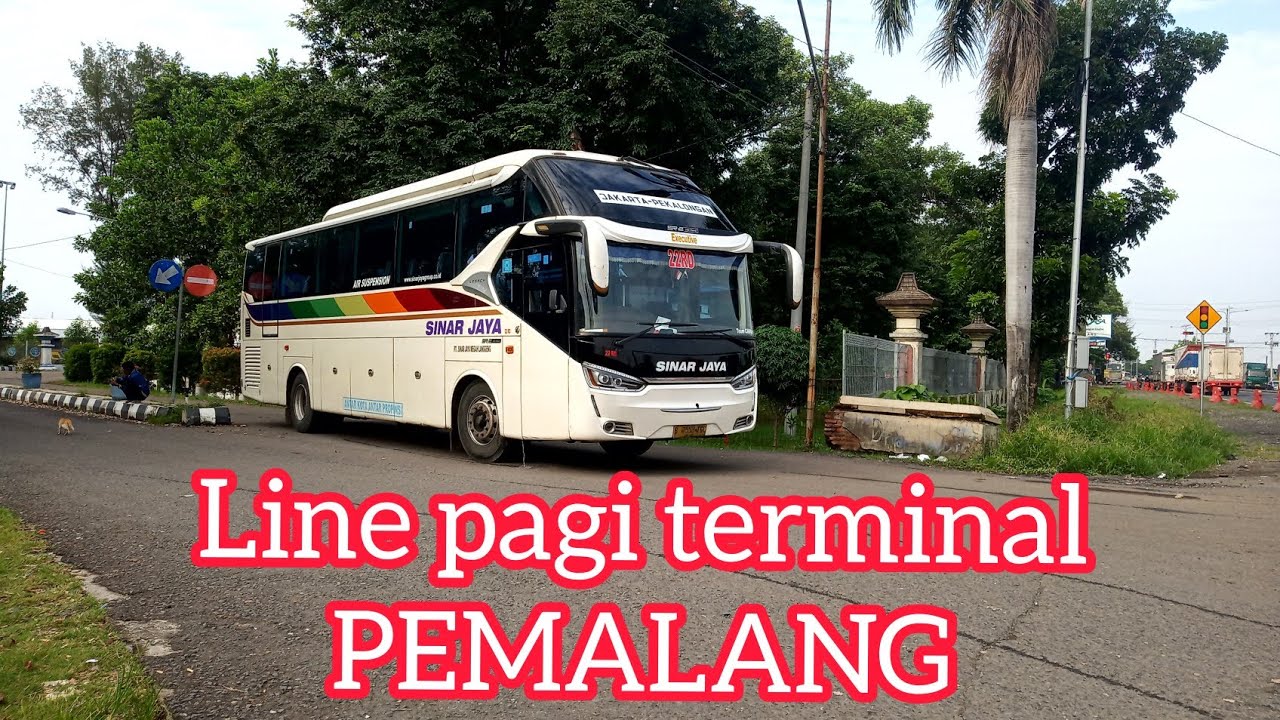 SQUAD || SINAR JAYA. DWI SRI. DEDY JAYA || TERMINAL PEMALANG. #PEMALANG ...