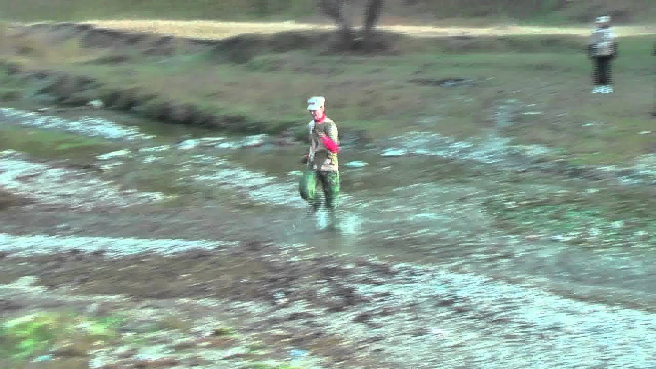 Boot Camp training with Robert Dinescu - YouTube