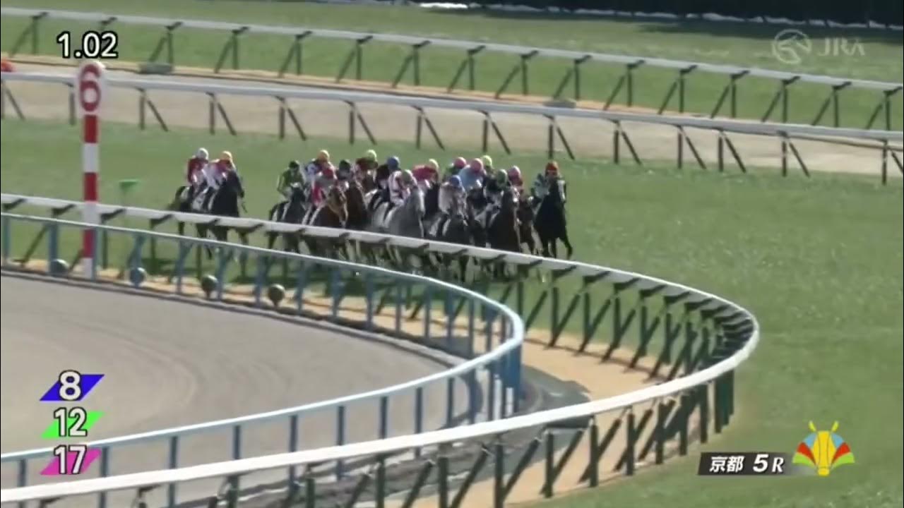 2025年2月9日京都5R 3歳新馬 芝1600m ルージュソリテール - YouTube