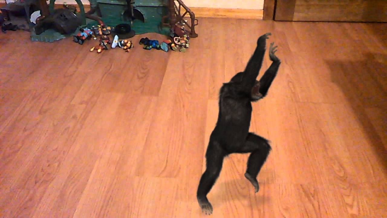 Creatures fx chimp 4 - YouTube