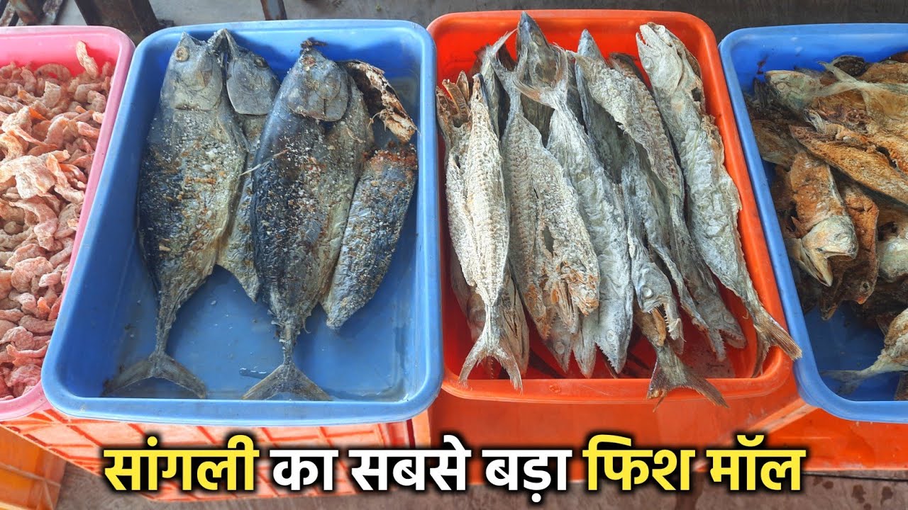 Biggest Fish Mall In Sangli | Many Fish Varieties | Maharashtra Food ...