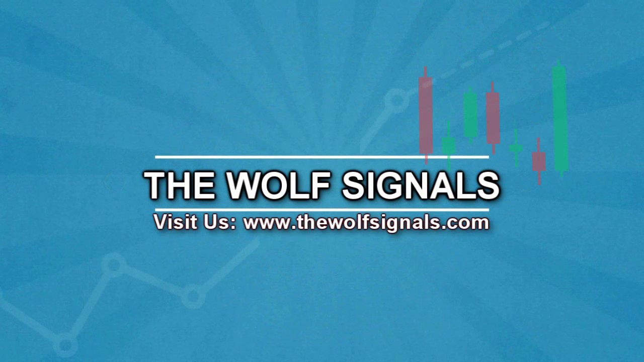 The Wolf Signals - Forex trading Intro - YouTube