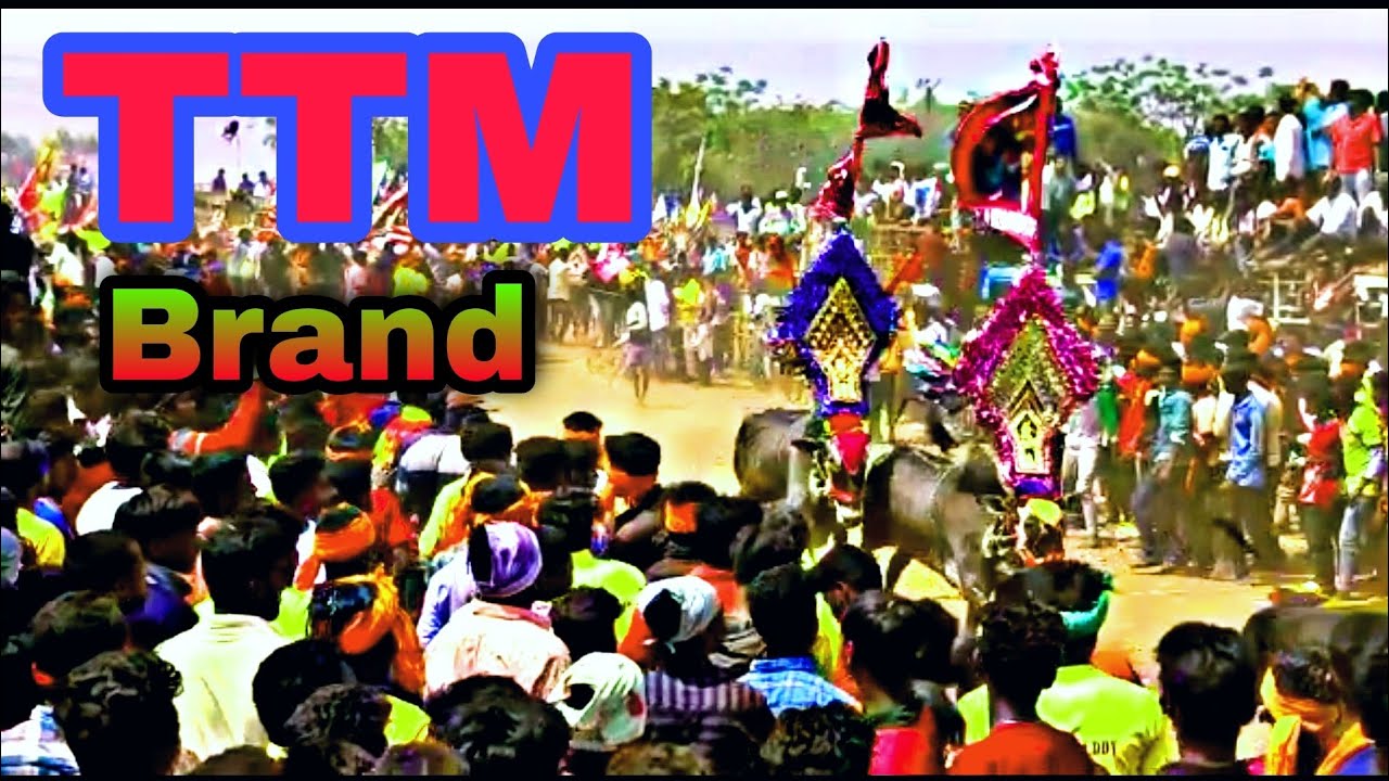 🔥TTM🔥 Brand Mass performance in Denkanikottai jallikattu 2023 - YouTube