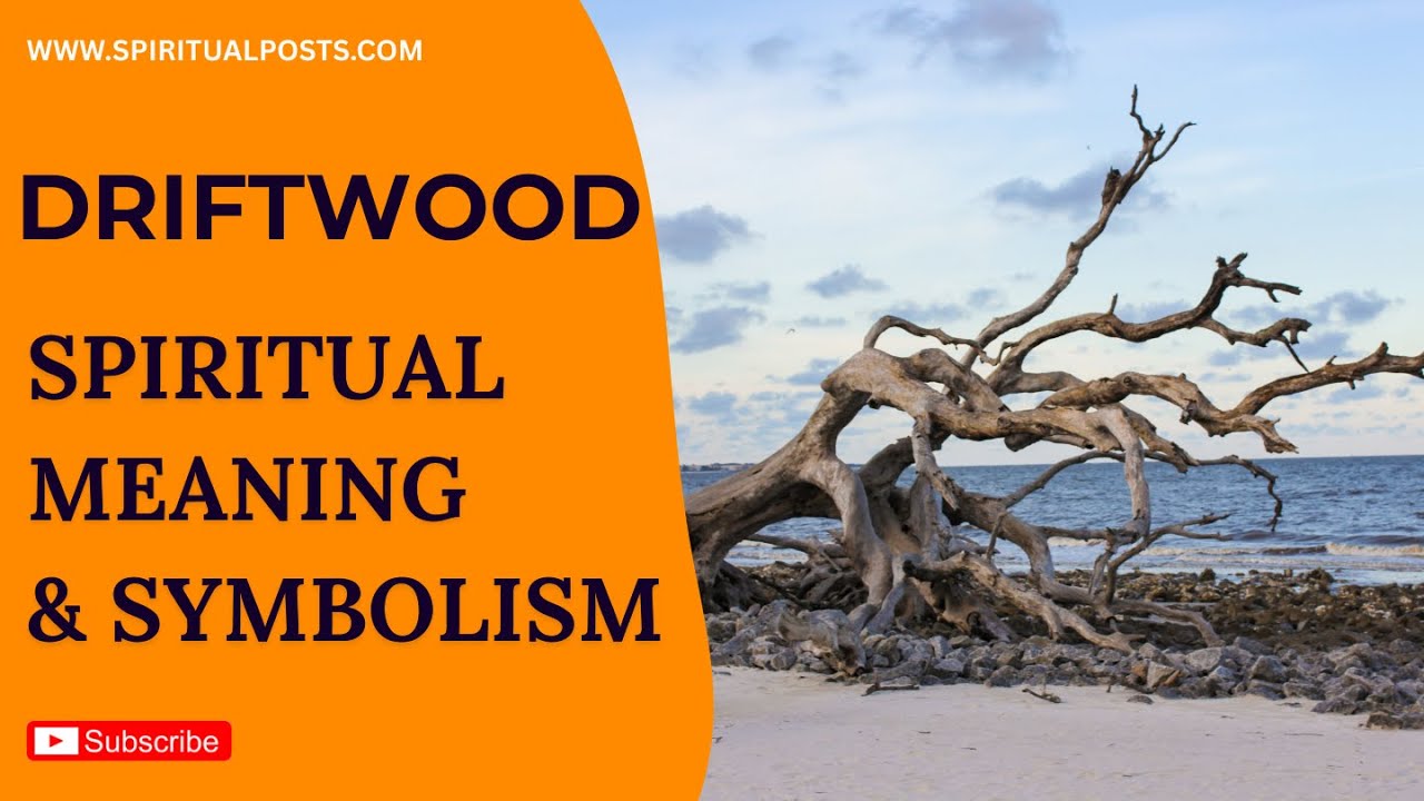 Driftwood Spiritual Meaning & Symbolism That Will Blow Your Mind! - YouTube