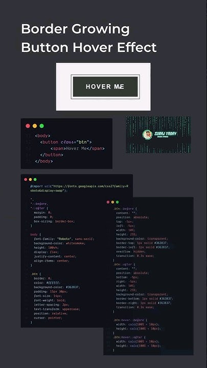 Border Growing Button Hover Effect with HTML & CSS round-color transcent Did you find this ...